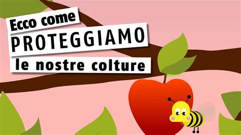 Prevenire è meglio che curare YouTube