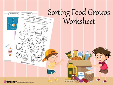 15 Sorting Food Groups Worksheet Free Printable Brainor