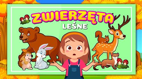 ZWIERZĘTA LEŚNE FILM EDUKACYJNY DLA DZIECI ZAGADKI YouTube