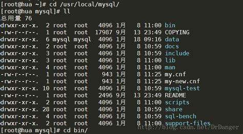explain使用 慢sql分析 explain慢sql csdn博客