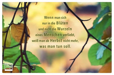 57 Liebe Herbst Sprüche Wann beginnt eigentlich der herbst