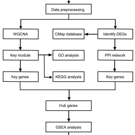 Study Workflow WGCNA Weighted Gene Co Expression Network Analysis