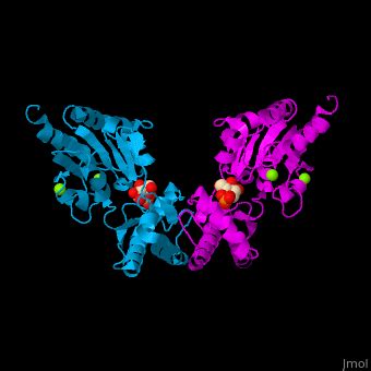 Phosphomannomutase Proteopedia Life In 3D