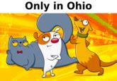 Can T Even X In Ohio Only In Ohio Know Your Meme