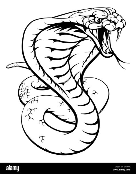 How To Draw A King Cobra