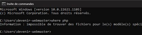 Installer Php Sous Windows Et Le Configurer Pour Symfony