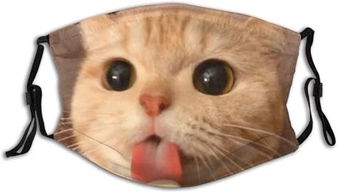 The Cat Makes A Face Mascarilla máscara protectora lavable