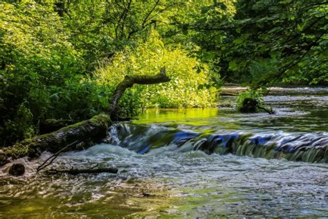 Darmowe Zdjęcia drzewo woda Natura las wodospad zatoczka