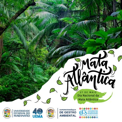 Dia Nacional da Mata Atlântica