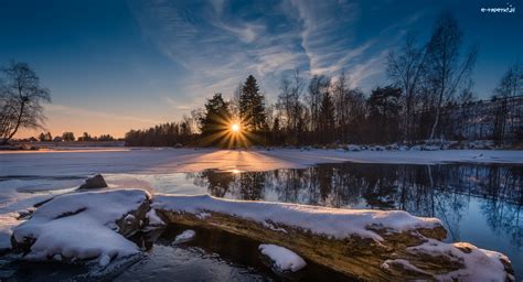 Zima Rzeka Gmina Lempäälä Drzewa Finlandia Śnieg Zachód słońca