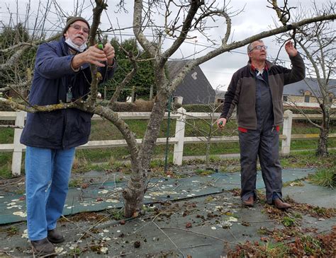 Bocage Virois Comment Bien Tailler Ses Fruitiers