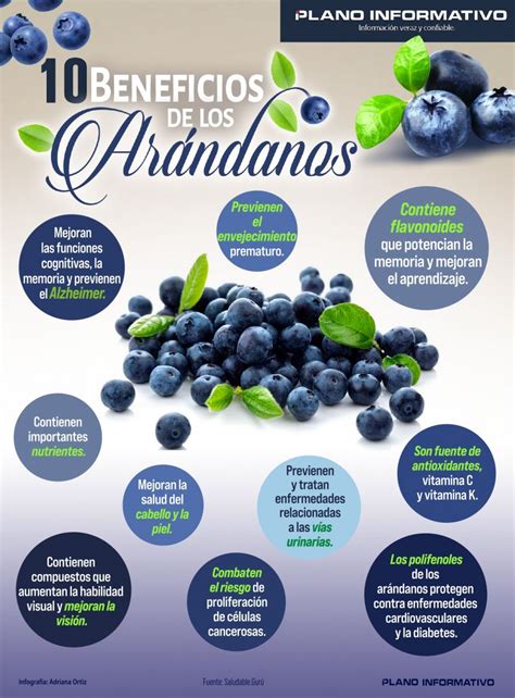Razones Por Las Que Los Ar Ndanos Son Los M S Ben Ficos Para Tu Cuerpo
