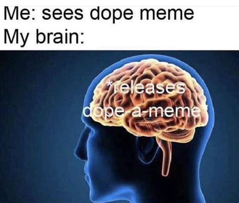 Dissecting Elon Musks Tweets Memes Rants Private Parts And An Echo