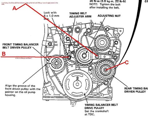 Honda Accord Timing Belt Diagram