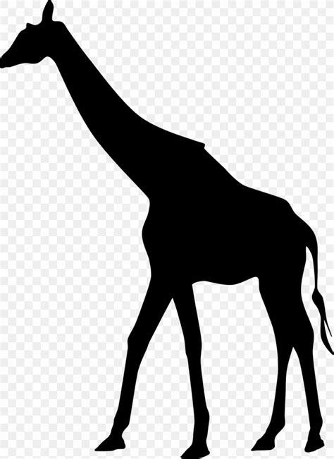 Giraffe Silhouette Clipart Koleksi Gambar