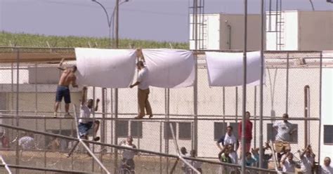 G1 Corpo carbonizado é achado em canavial após rebelião em