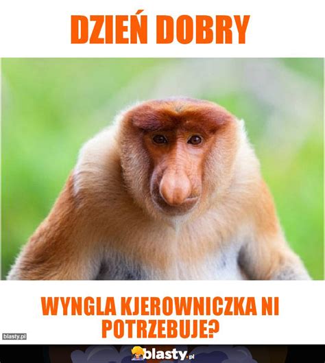 Milego Dnia Memy Na Dzien Dobry Margaret Wiegel