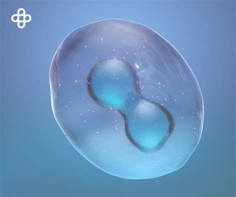 Células madre características Centro Médico Eternal