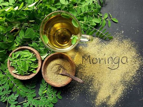 Beneficios Que Debes Conocer De La Moringa
