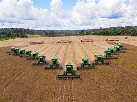 MT Safra terá recorde produção de grãos acima dos 100 milhões de