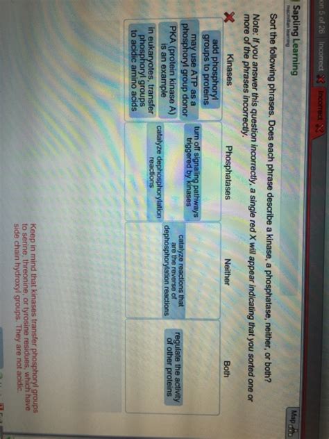 Solved Sort The Following Phrases Does Each Phrase Describe Chegg
