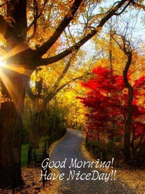 Pin By Evelyn Switzer On Thanksgiving Fall Good Morning Beautiful