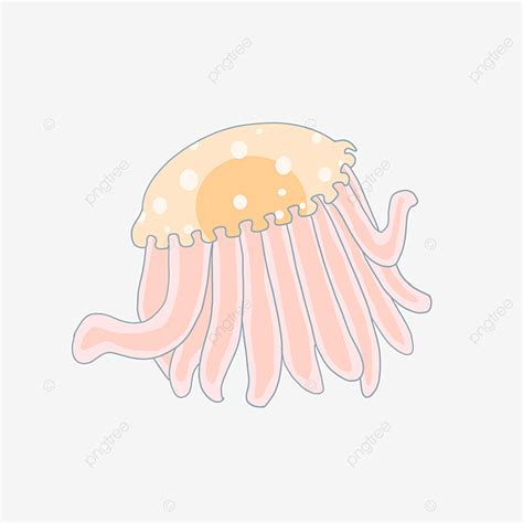 Jellyfish PNG Transparent Pink Jellyfish Jellyfish Clipart Marine