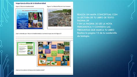 Importancia Etica De La Biodiversidad En Mexico Prodesma