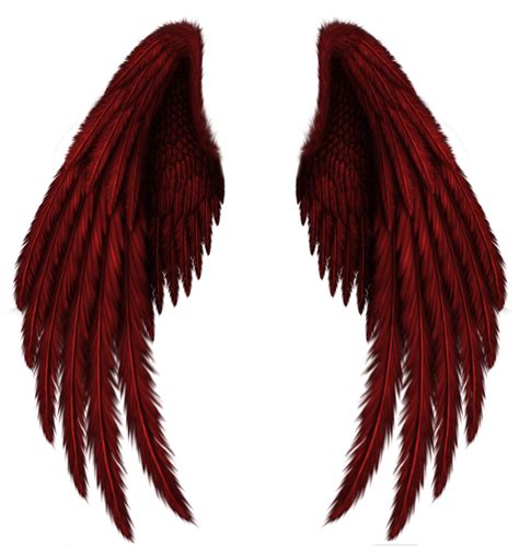 Wings Transparent Background ClipArt Best