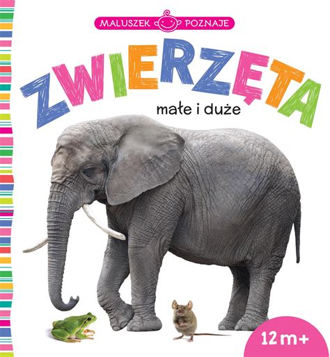 Maluszek poznaje Zwierzęta małe i duże książka TaniaKsiazka pl