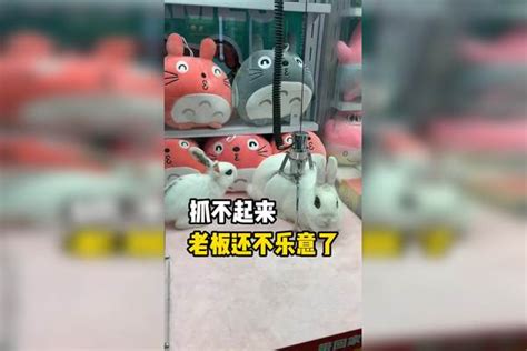 说兔子抓不到老板还不乐意了 春日暴击 抓娃娃 暴击 兔子 娃娃
