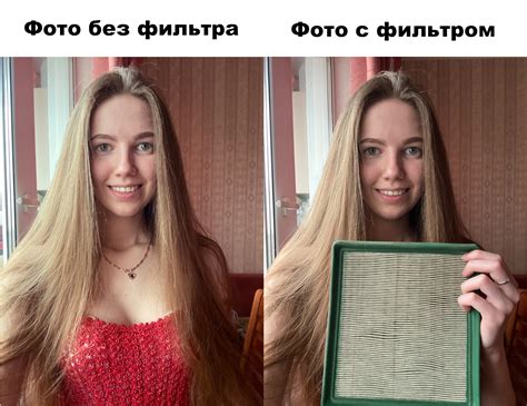 смешные картинки фото приколы фильтр смешные картинки и другие