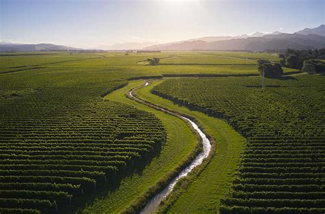 Cloudy Bay A Sauvignon Blanc Success Story Decanter