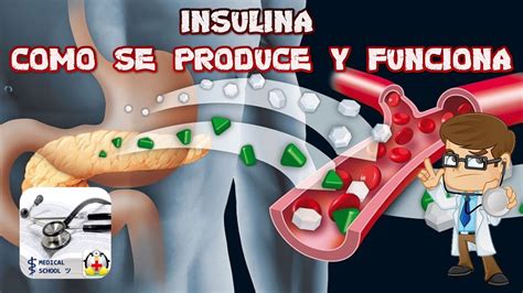 Insulina Cómo se produce y cómo funciona YouTube