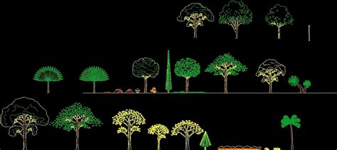 Trees Dwg Plan For Autocad Designs Cad