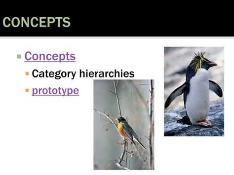 Ppt Cognition Thinking Problem Solving Creativity And Language