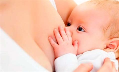 Beneficios De La Leche Materna Elhistoriador Es
