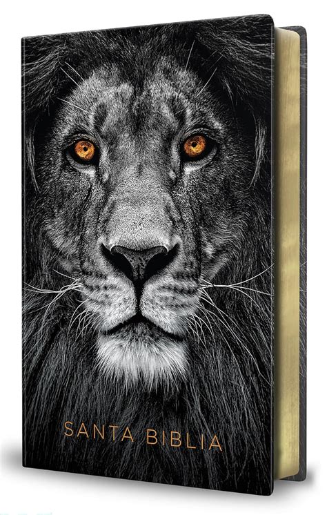 Biblia Rvr Letra Grande Le N S Mil Piel Clc Mexico