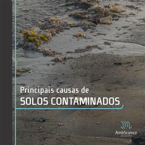 Principais Causas De Solos Contaminados AmbScience EngenhariaAmbScience