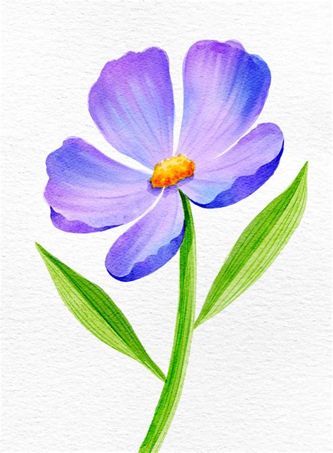 Paint A Watercolor Flower In Procreate Bardot Brush