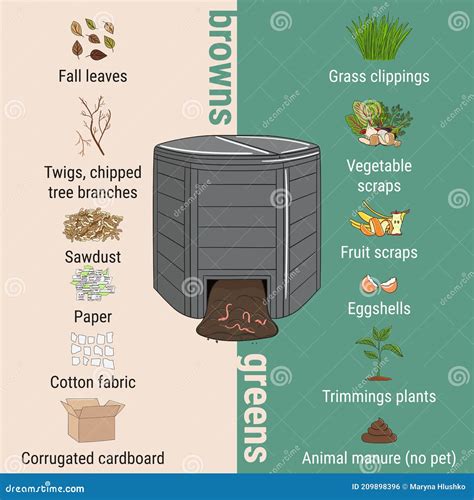 Infographic Of Garden Composting Bin With Scraps What To Compost