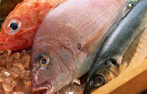 Tips para reconocer que el pescado está fresco Johana Clavel