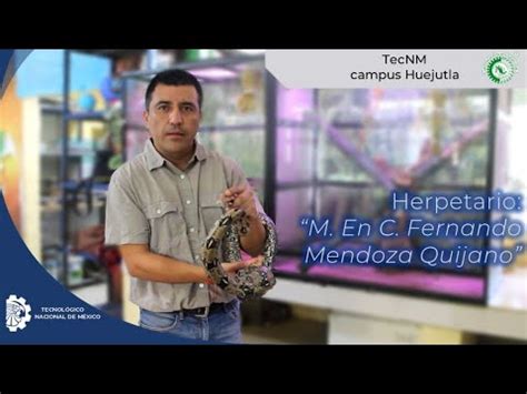 Herpetario Tecnm Campus Huejutla Youtube