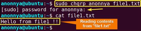 How To Give Permission To User In Linux 4 Methods
