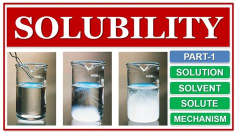 Solubility Vector Illustration Labeled Educational Solute Off