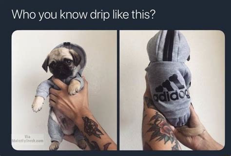 Amusing Memes To Make You Laugh Out Loud 60 Pics Izismile