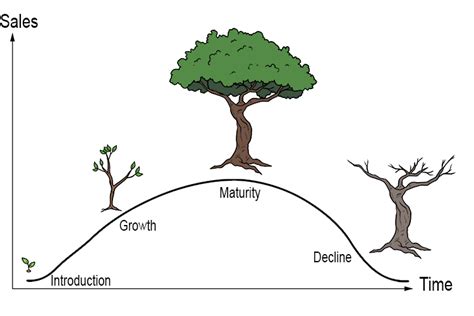 Product Life Cycle Mammoth Memory Definition Remember Meaning