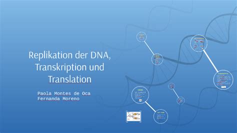 Replikation Der DNA Transkription Und Translation By Paola Montes De Oca