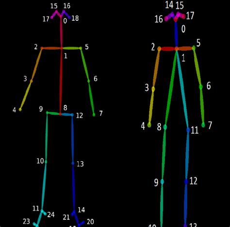 Output Keypoint Skeletons From OpenPose BODY25 Left And HyperPose