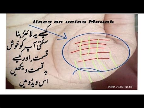 Venues Mount Plamisrty In Urdu Hindi Line S On Venus Mount Vertical